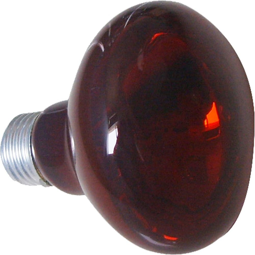 Repti-Zoo Infrared IR Heat Lamp Bulb Halogen 75w | Majestic Aquariums